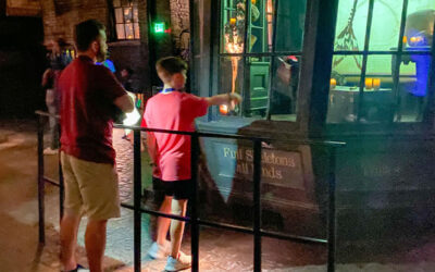 Your House-by-House Guide to the Wizarding World of Harry Potter