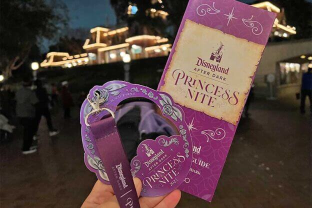 Our Royally Good Guide to Princess Nite at Disneyland