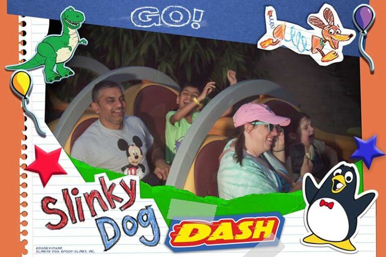 Everything You Need to Know About Walt Disney World Ride Photos