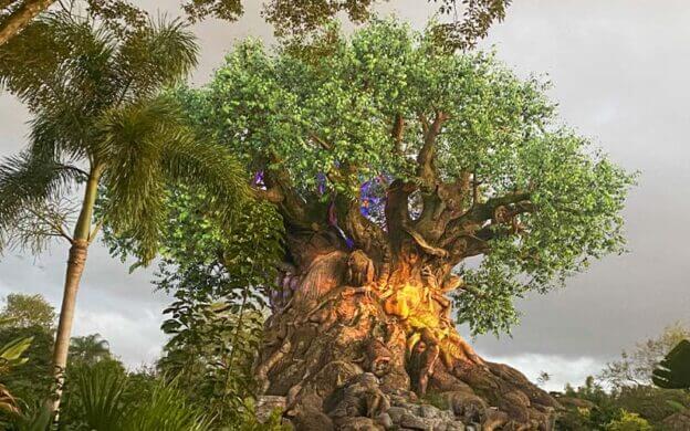 Top Tips for Riding Avatar Flight of Passage