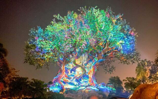 Guide to Pandora — The World of Avatar at Disney World