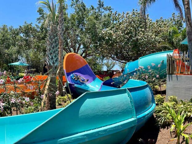 Everything You Need to Know About Aquatica Orlando