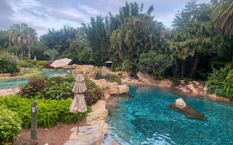 Why Discovery Cove Is One of Orlando's Top Attractions