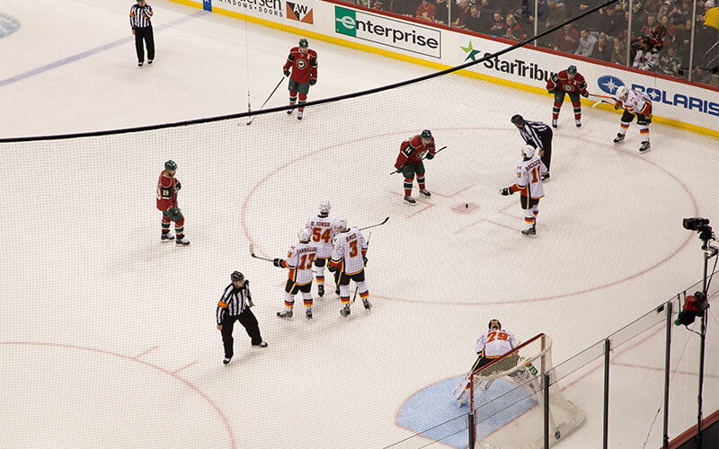 A Marvelous Guide to the Minnesota Wild