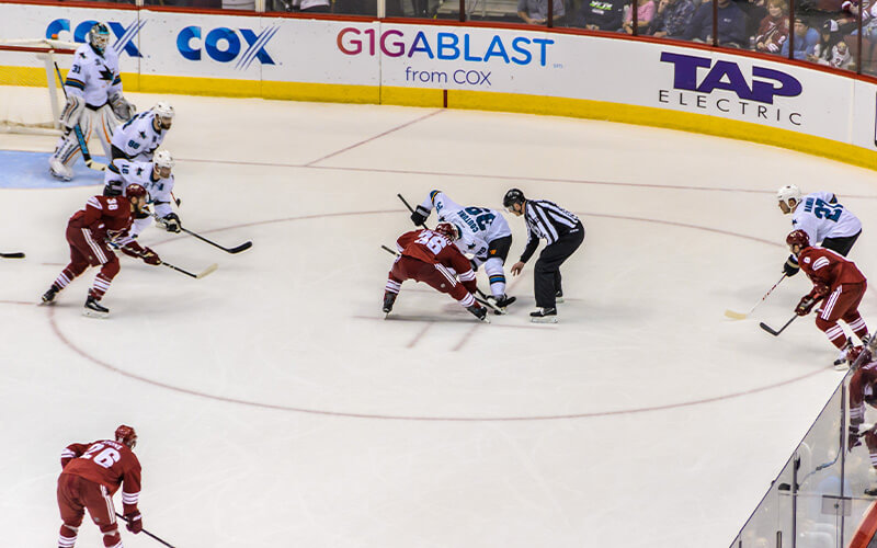 A Fan's Guide to the Arizona Coyotes