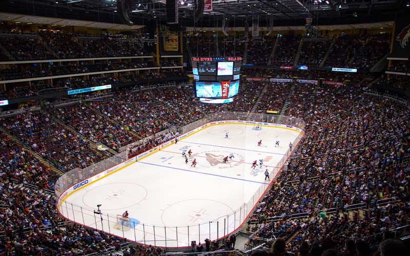 A Fan's Guide to the Arizona Coyotes