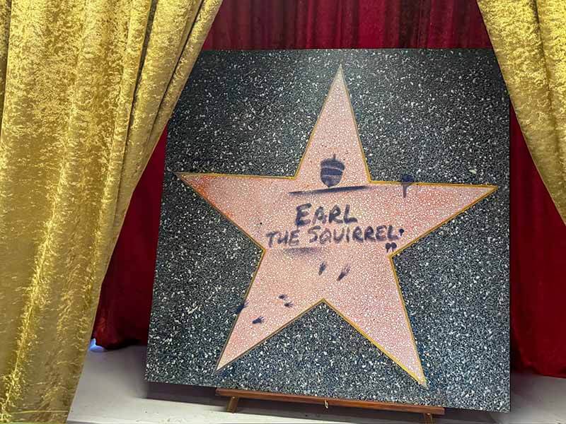 Our Terrific Guide to the Universal Tribute Store