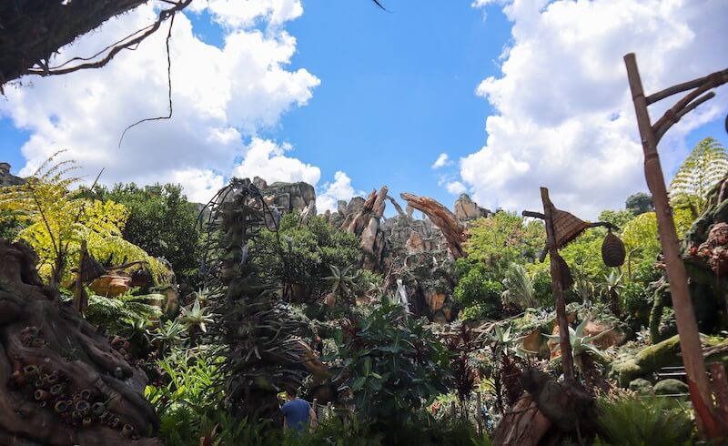 Guide to Pandora — The World of Avatar at Disney World
