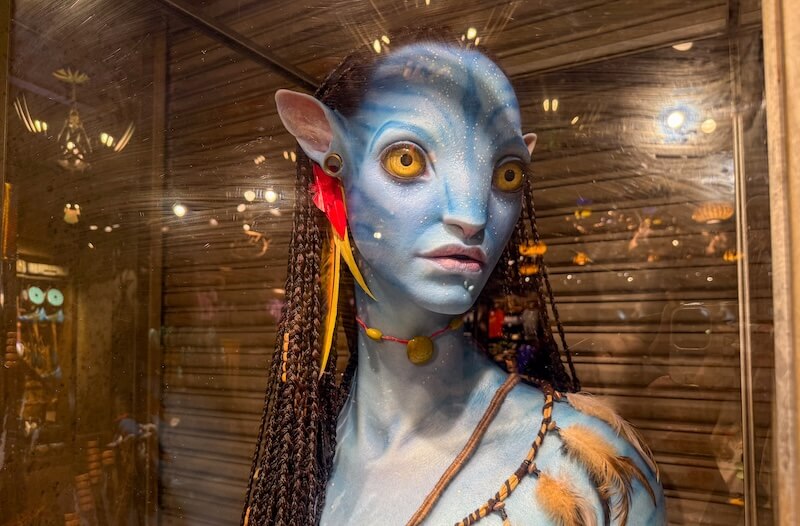 Guide to Pandora — The World of Avatar at Disney World