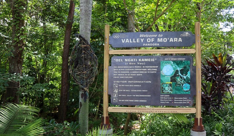 Guide to Pandora — The World of Avatar at Disney World