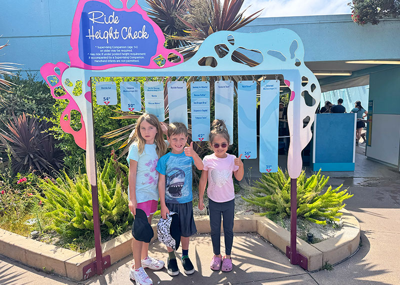 Guide to SeaWorld San Diego Height Requirements