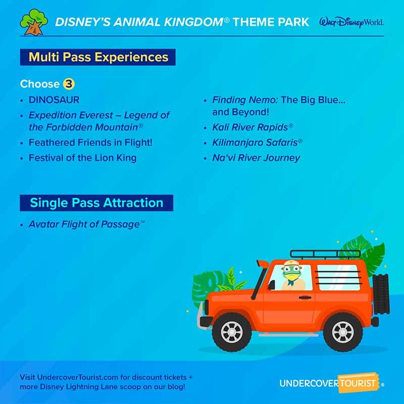 Disney World Lightning Lane: Get to Know These Passes