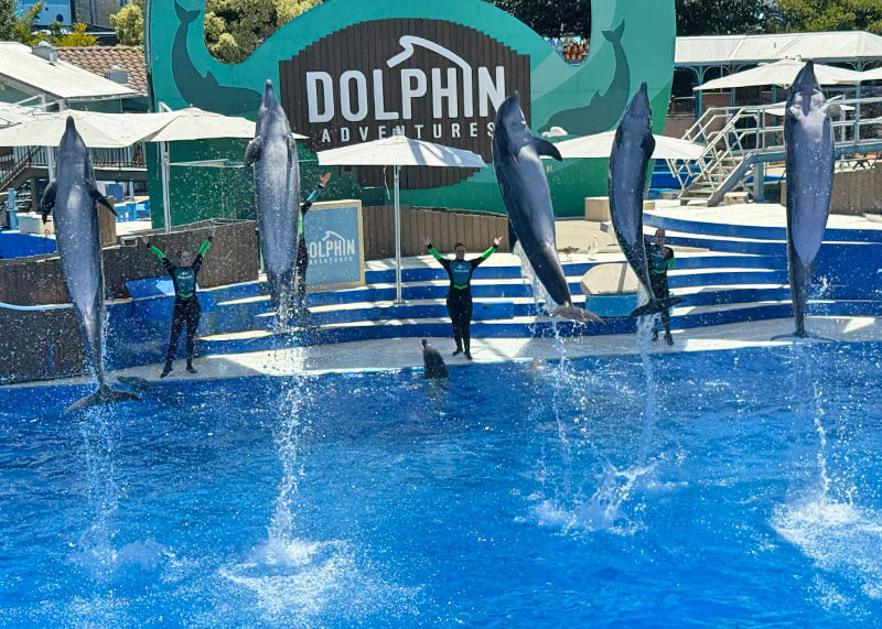 How to Save Money at SeaWorld San Diego