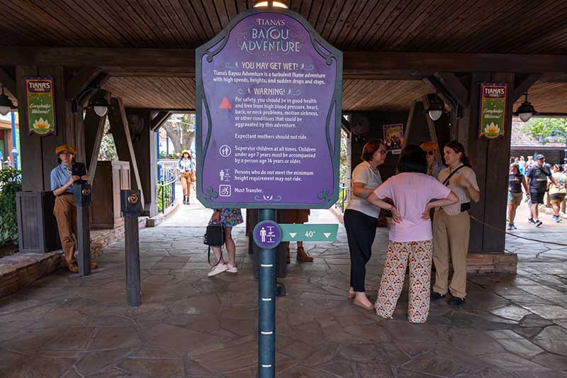 Guide to Disney World Height Requirements