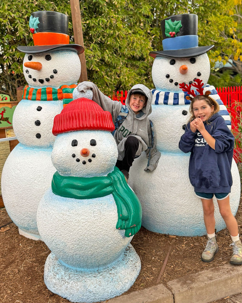The Joy of the SeaWorld San Diego Christmas Celebration 2026