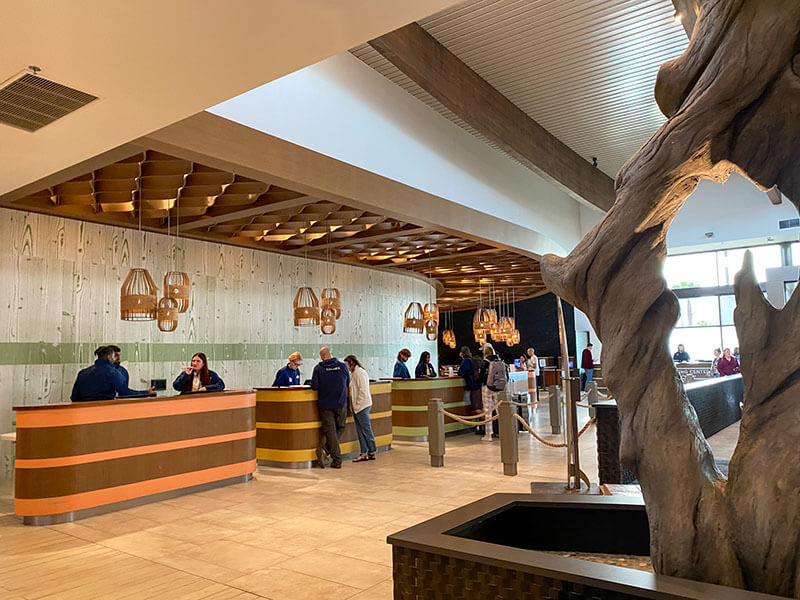 Our Delightful Guide to Universal Endless Summer Resort – Dockside Inn ...