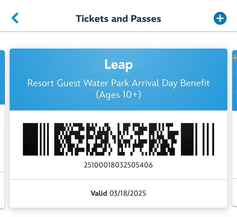 All the Details About the Free Water Park Day at Disney World
