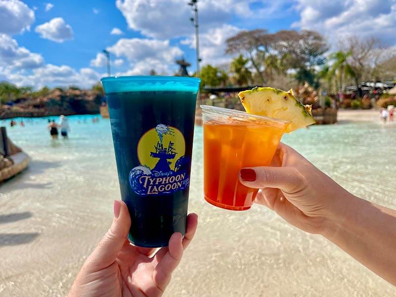 The Frog Family's Splashin' Guide to Typhoon Lagoon