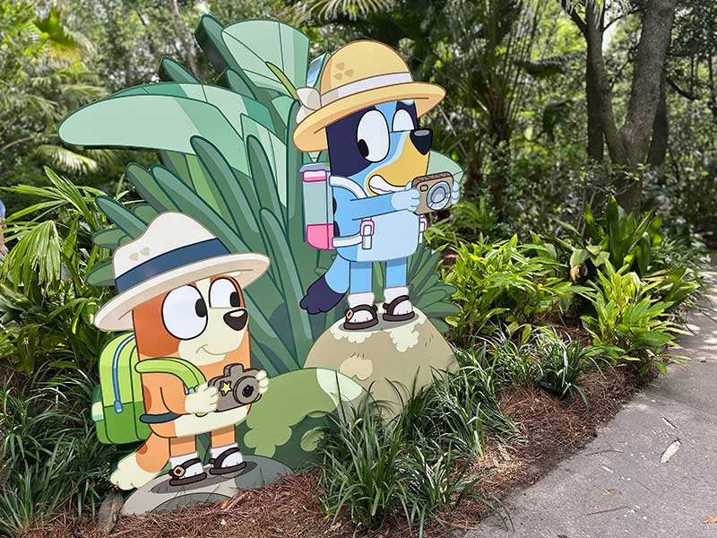 Your Guide to Bluey at Disney World — Games, 'Roos and More