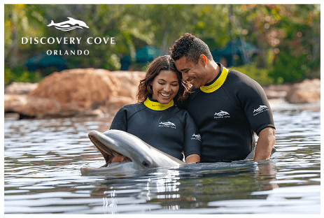 Everything You Need to Know About Walt Disney World Ride Photos