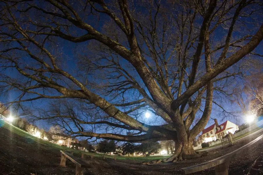 Colonial Ghosts tickets discount | Williamsburg | Undercover Tourist