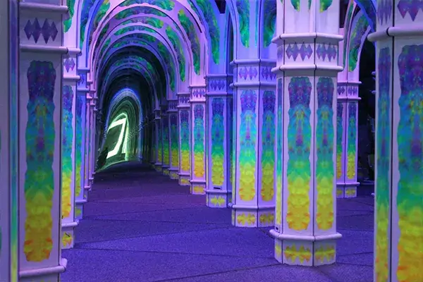 Magowan S Infinite Mirror Maze Tickets