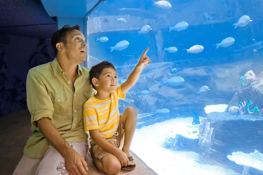 Miami Seaquarium tickets discount | Miami | Undercover Tourist