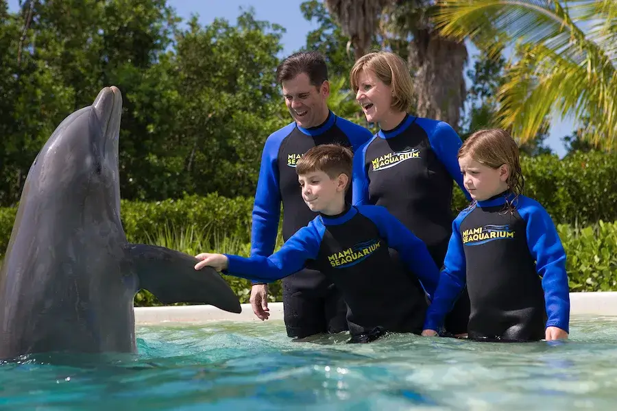 Miami Seaquarium tickets discount | Miami | Undercover Tourist