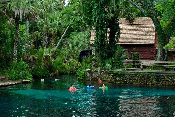 Ocala National Forest - map, reviews, address | Undercover Tourist