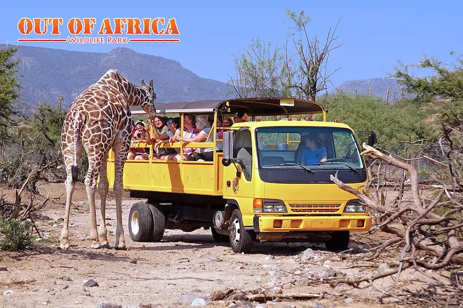 Out of Africa Wildlife Park tickets discount | Phoenix | Undercover Tourist