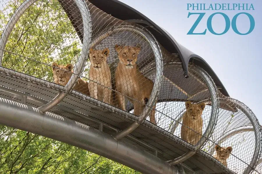 Philadelphia Zoo tickets discount | Philadelphia | Undercover Tourist