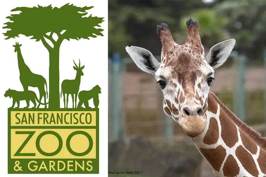 San Francisco Zoo & Gardens name of the attraction tickets discount ...