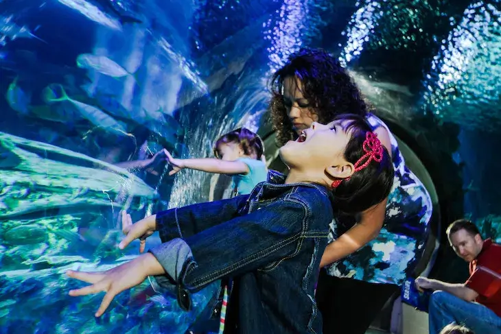 SEA LIFE at Mall of America tickets discount | Minneapolis Discount ...