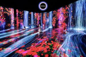 Miami Discount Tickets | Best Deals on Things to Do in Miami