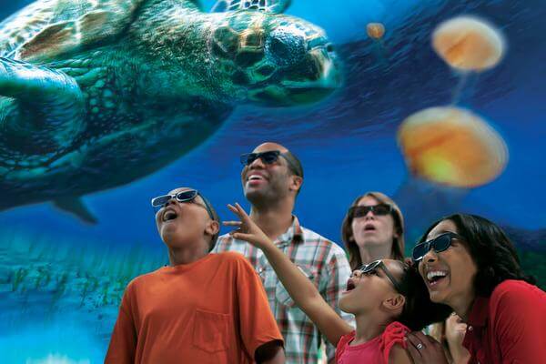 Stingray Lagoon | SeaWorld Orlando Discount Tickets | Undercover Tourist