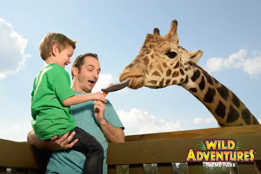 Wild Adventures tickets discount | Jacksonville | Undercover Tourist