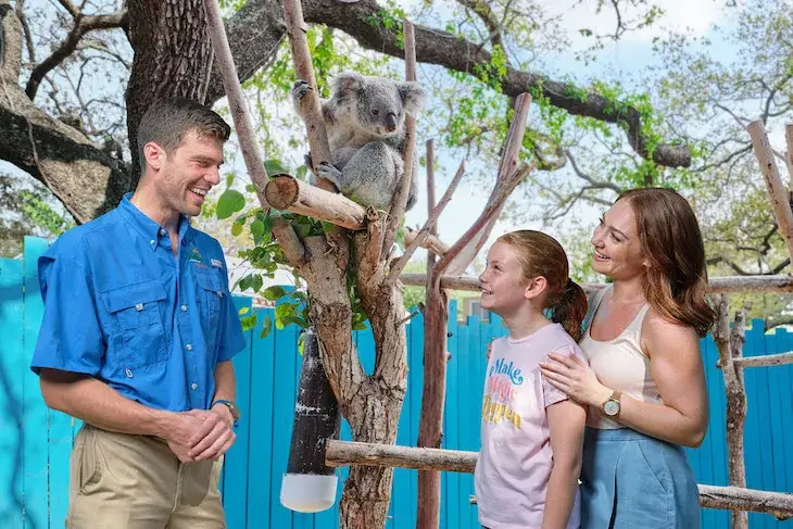ZooTampa at Lowry Park Discount Tickets | Tampa | Undercover Tourist