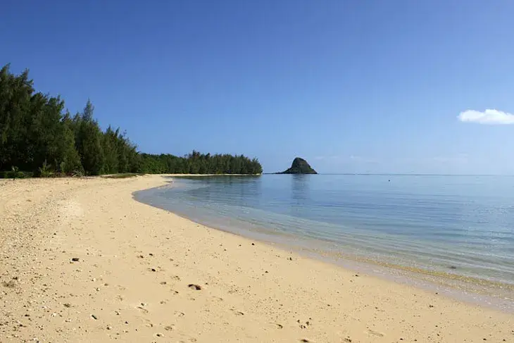 Kualoa Ranch tickets discount | Honolulu | Undercover Tourist