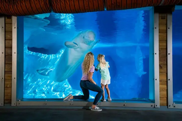 SeaWorld Orlando Single Day ANY DAY Ticket + All Day Dine | Undercover ...