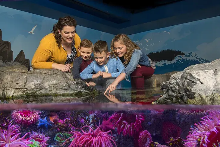 1-Day LEGOLAND California RESORT Hopper + 2nd Day FREE | San Diego ...