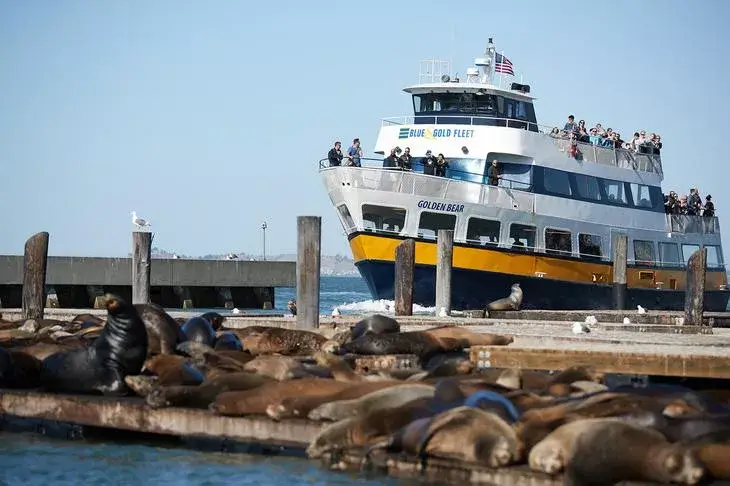 Blue & Gold Fleet: San Francisco Bay Cruise Adventure Ticket ...